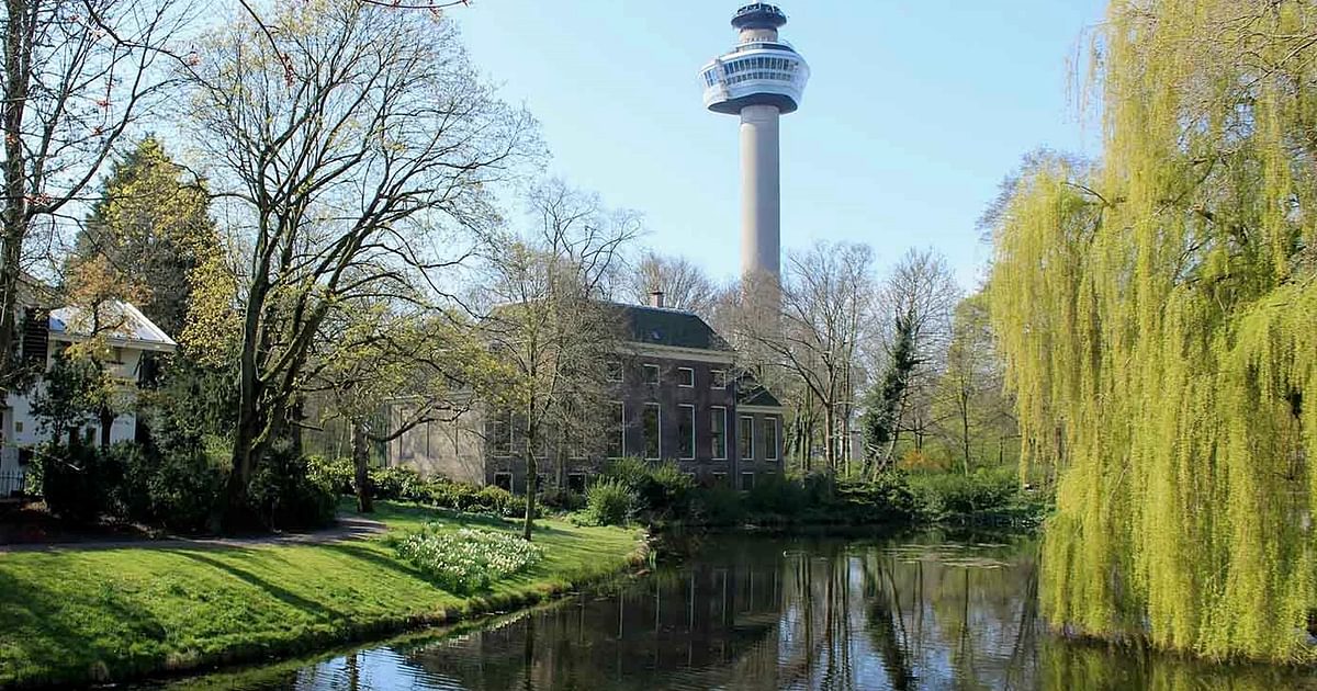 Top things to do during summer in Rotterdam | Tours & Tickets
