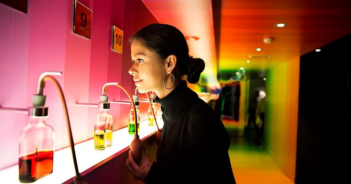 Discover the Bols Cocktail Experience! | Tours & Tickets