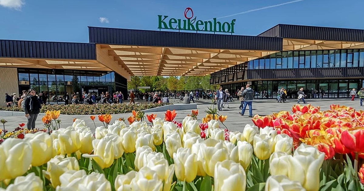 Keukenhof Inträde: Hoppa över Köerna, Njut av Blommorna! | Tours & Tickets